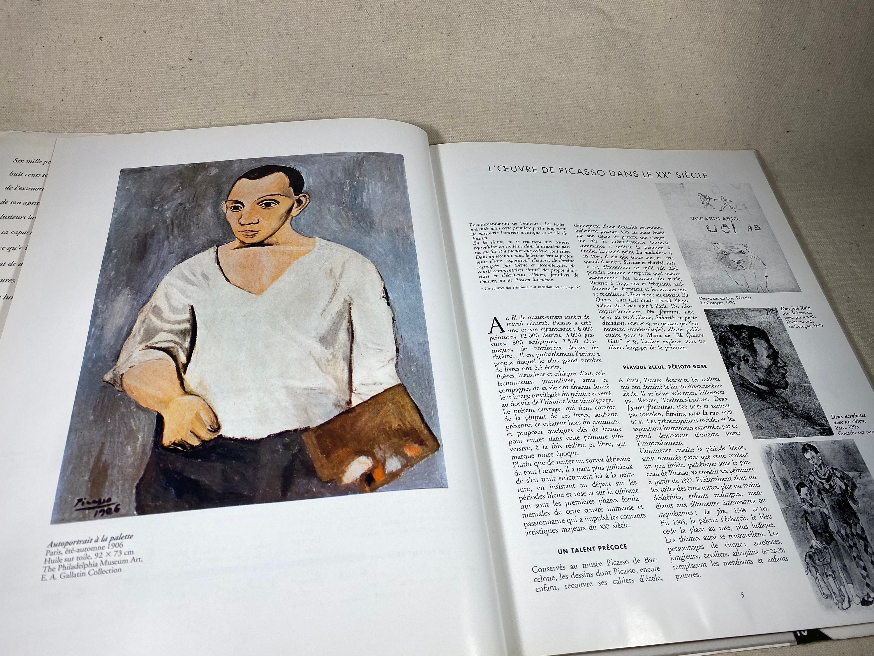 Picasso French Language Vintage Art Book Coffee Table Book | Etsy