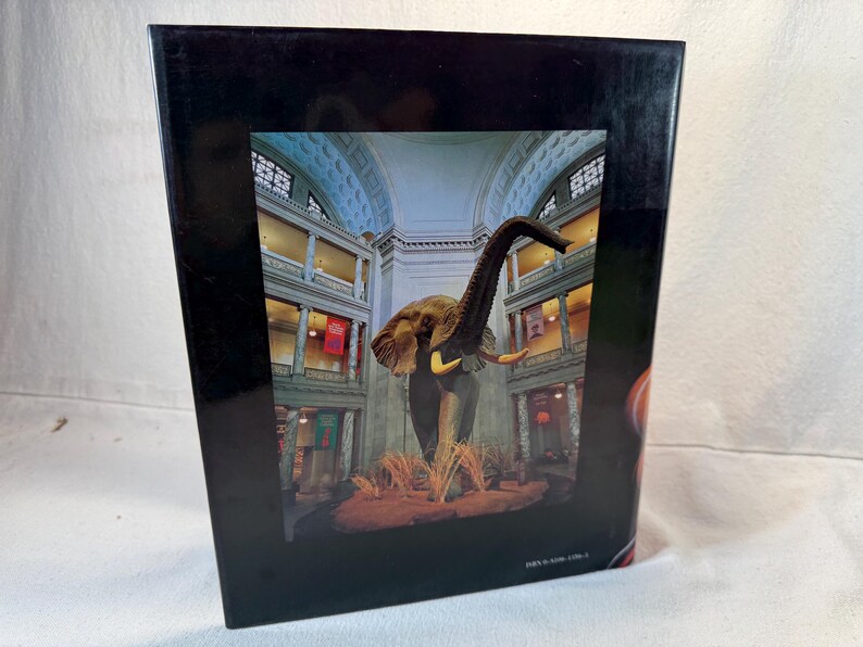 The National Museum of Natural History by Philip Kopper | Vintage ...