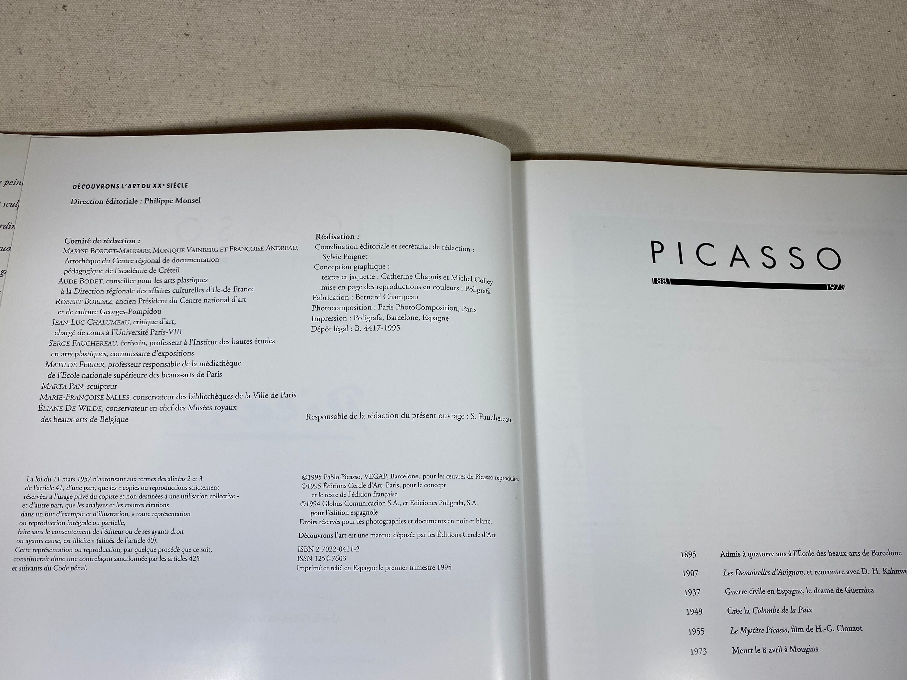 Picasso French Language Vintage Art Book Coffee Table Book | Etsy