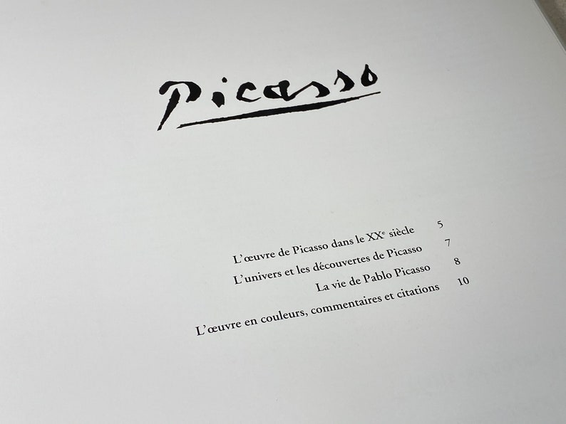 Picasso French Language Vintage Art Book Coffee Table Book - Etsy