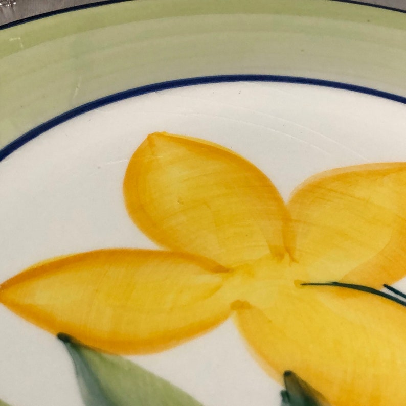 Pair of Pizzato Hand-painted Italian Salad Pasta Plates With | Etsy