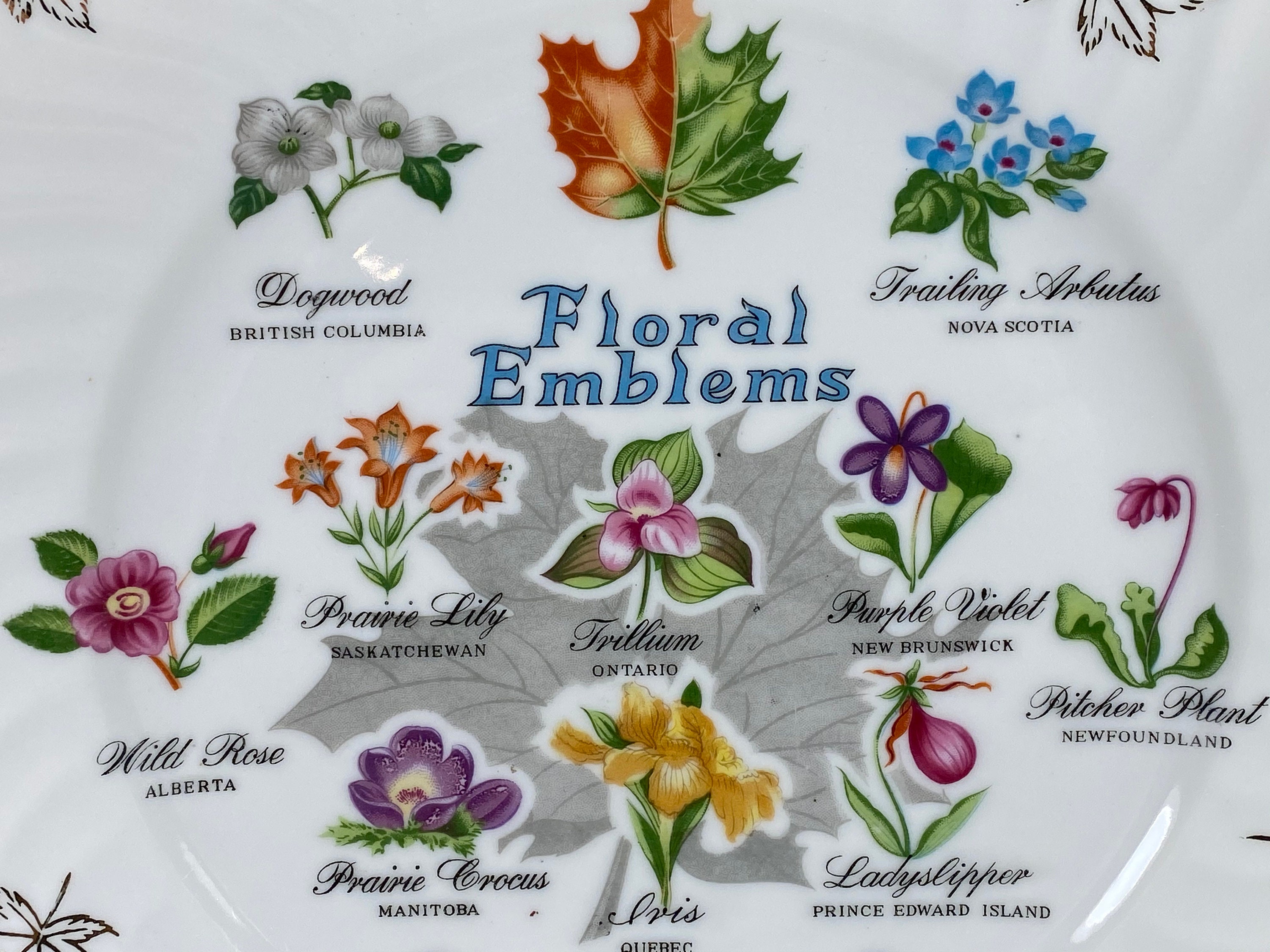 Vintage Floral Emblems of Canada Souvenir Plate Maple Leaf Flowers of ...