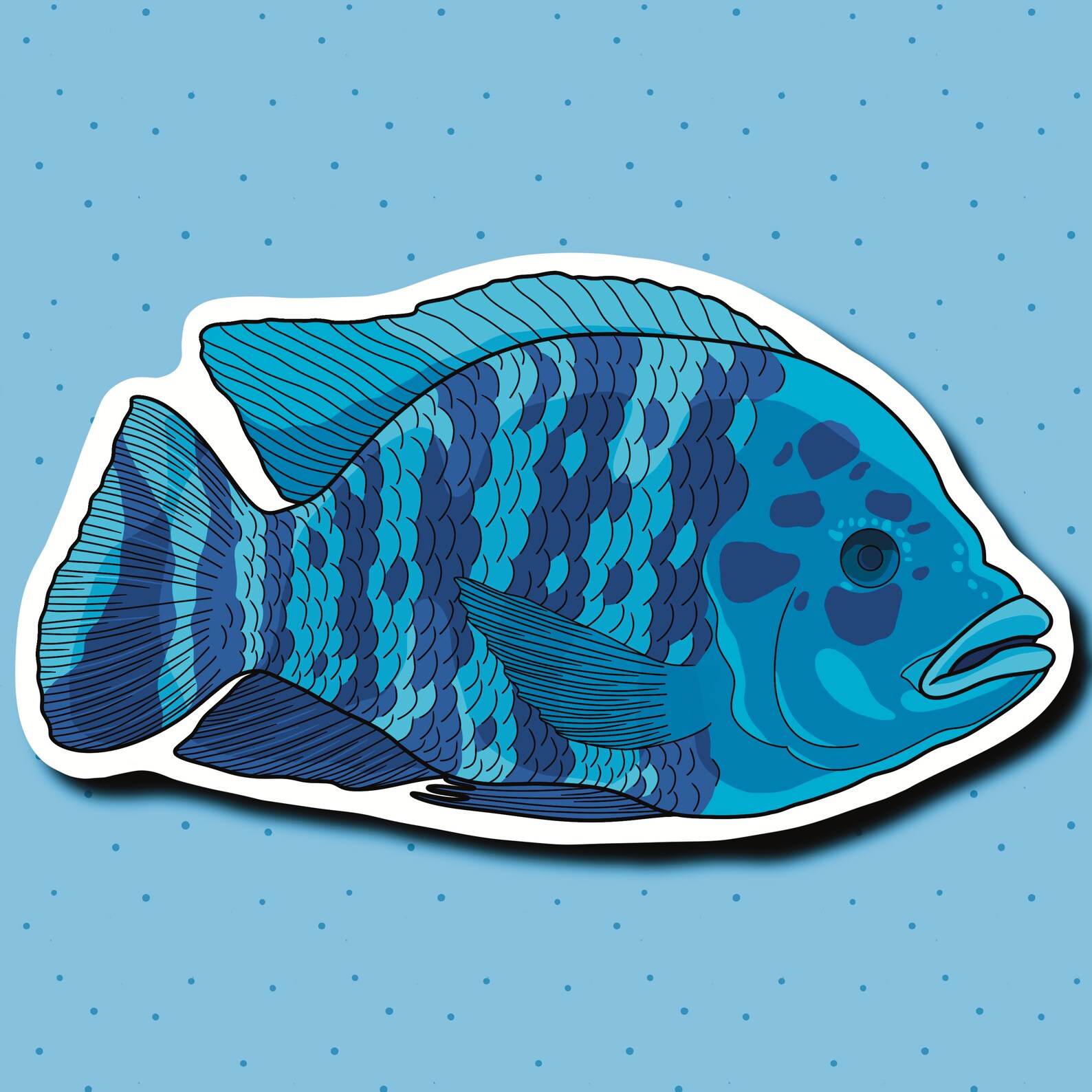 Cool Tilapia Fish Vinyl Sticker 3 Glossy Fish Decal, Great for Fish ...