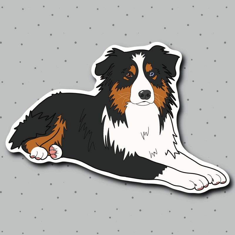 Mini Australian Shepherd - Etsy