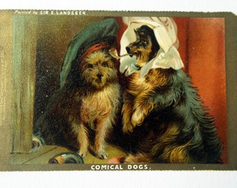 Tuck postcards | Etsy