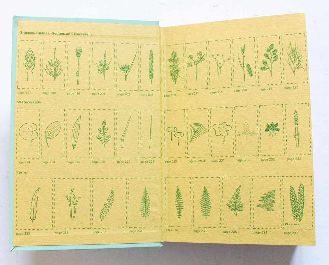 Botanical Book 'finding Wild Flowers' by R. S. R. Fitter, Vintage ...