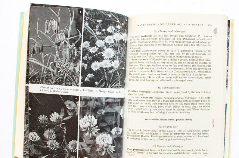 Botanical Book 'finding Wild Flowers' by R. S. R. Fitter, Vintage ...