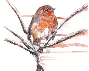 Robin on a Holly Branch Coloured Pencil Drawing Art A5 Print - Etsy UK