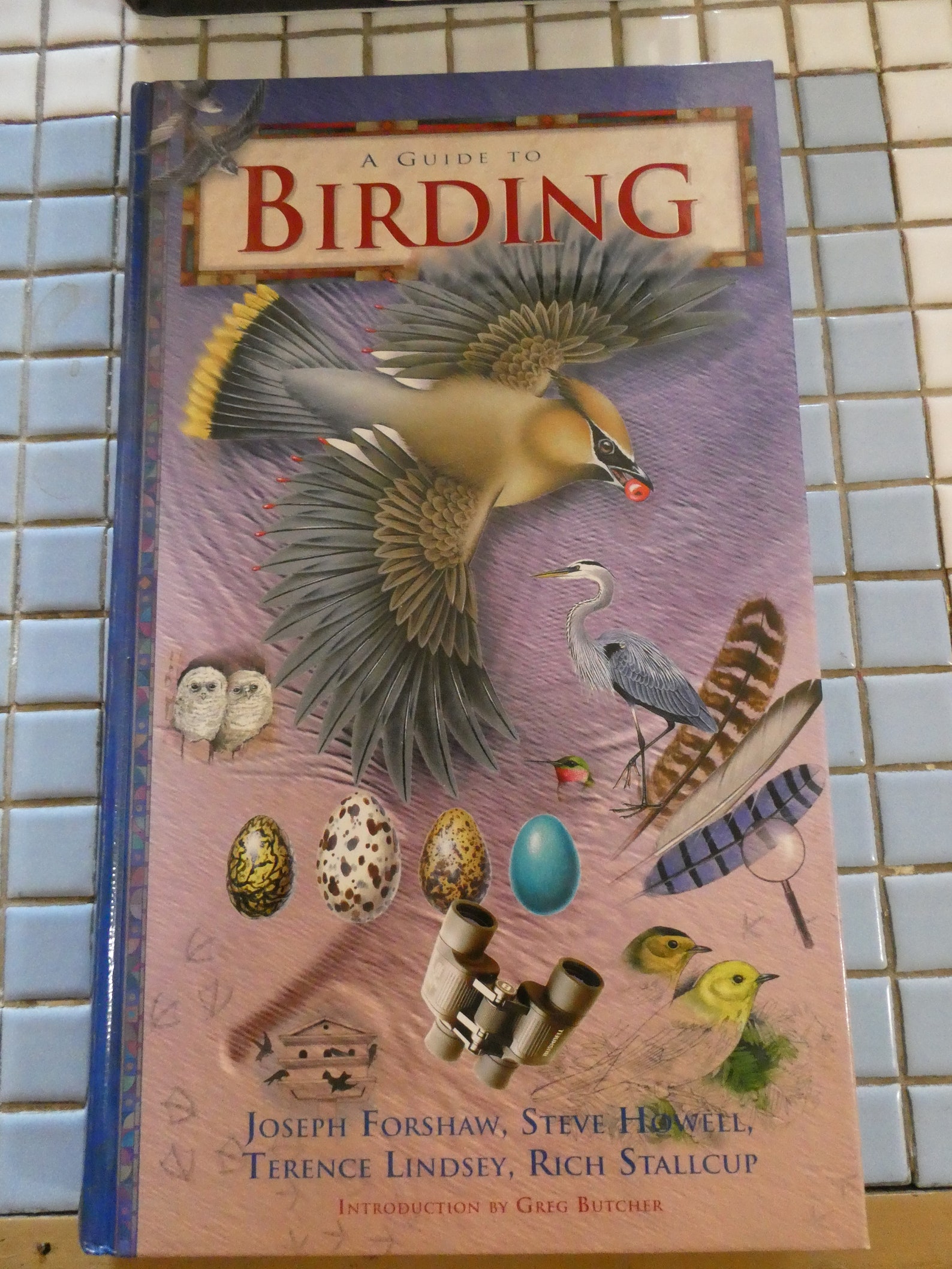 A Guide to Birding Forshaw, Et Al. Pub 2003 Illustrated Hardcover 288 ...