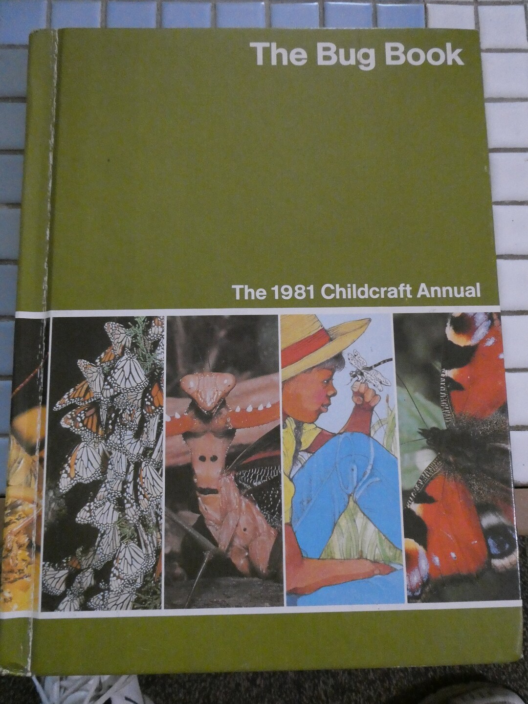 The Bug Book Pub 1981 Hardcover the 1981 Childcraft Annual Illustrated 302 Pages of the World of ...