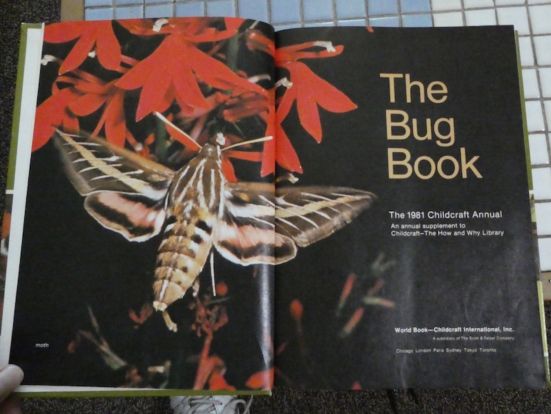 The Bug Book Pub 1981 Hardcover the 1981 Childcraft Annual Illustrated ...