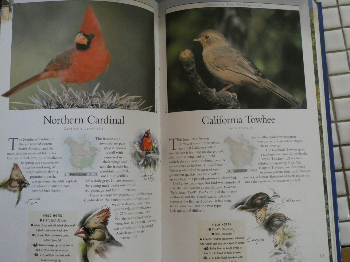 A Guide to Birding Forshaw, Et Al. Pub 2003 Illustrated Hardcover 288 ...