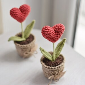 Red Heart Plant in a Pot Crochet Pattern, Personalised Anniversary ...