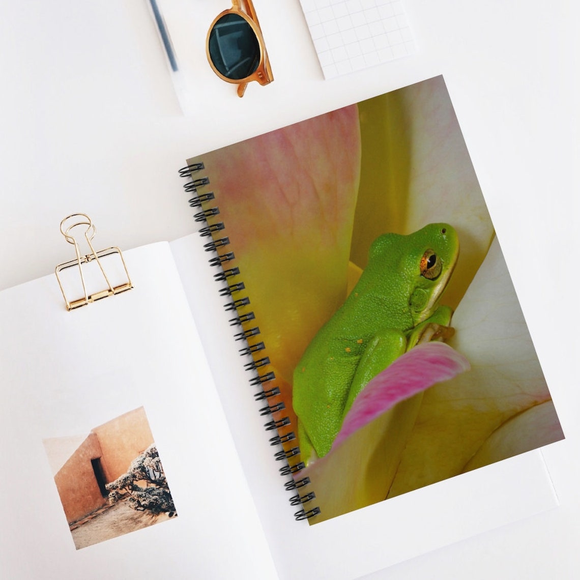 Green Frog Spiral Notebook frog notebook daily planner | Etsy
