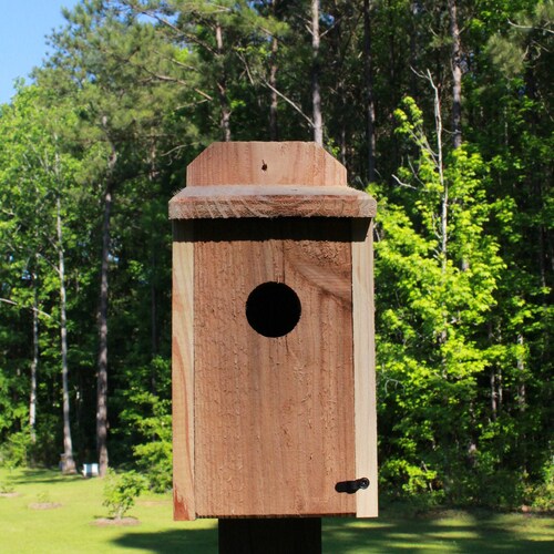 Bluebird House Plans download - Etsy