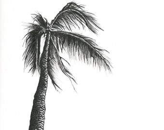 Close up Palm Tree - Ink Print (8x10) - Etsy