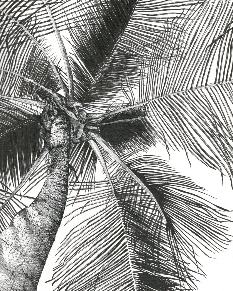 Close up Palm Tree - Ink Print (8x10) - Etsy