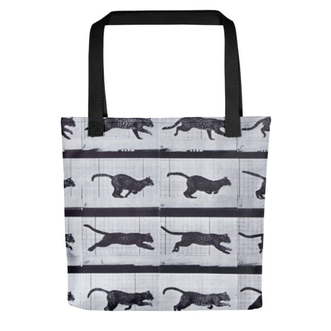 Locomoción animal: Plate 717 Cat Tote, Cat tote, Eadweard Muybridge ...