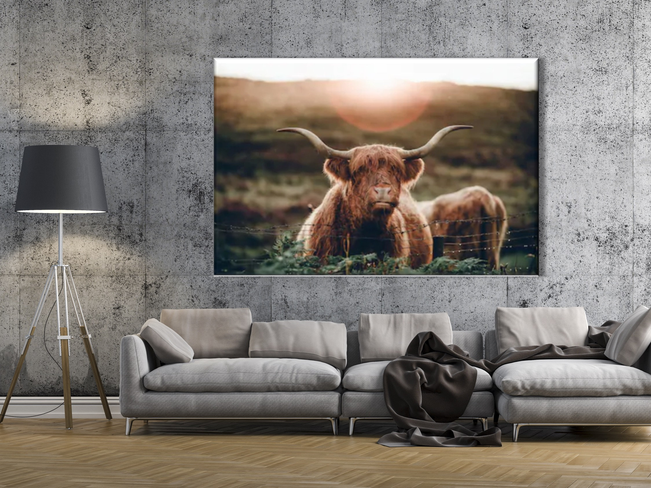 Highland Cow Highland Cow Decor Highland Calf Canvas | Etsy