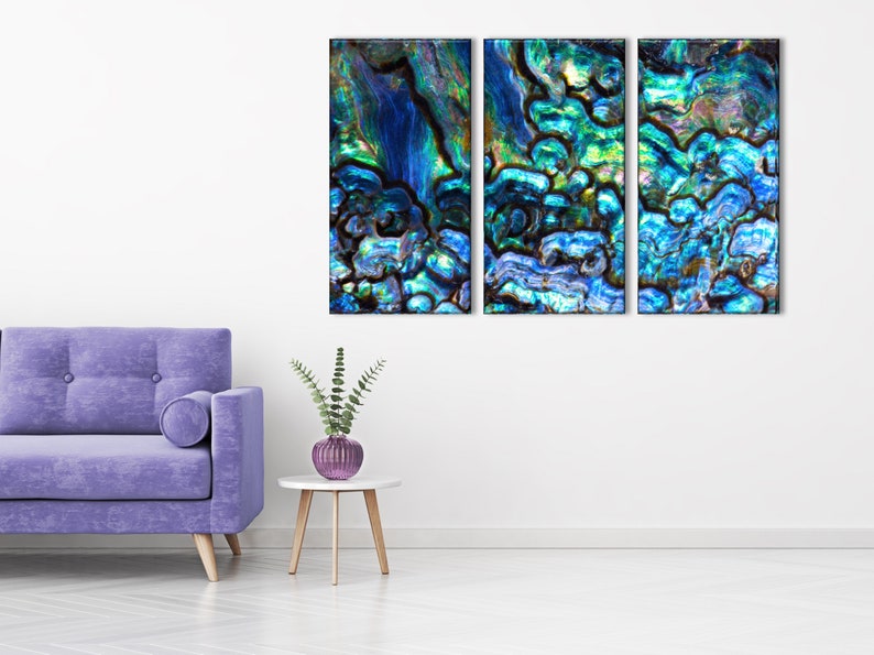 Abalone Perl Shell Canvas Print Abstract Art Rainbow Art - Etsy