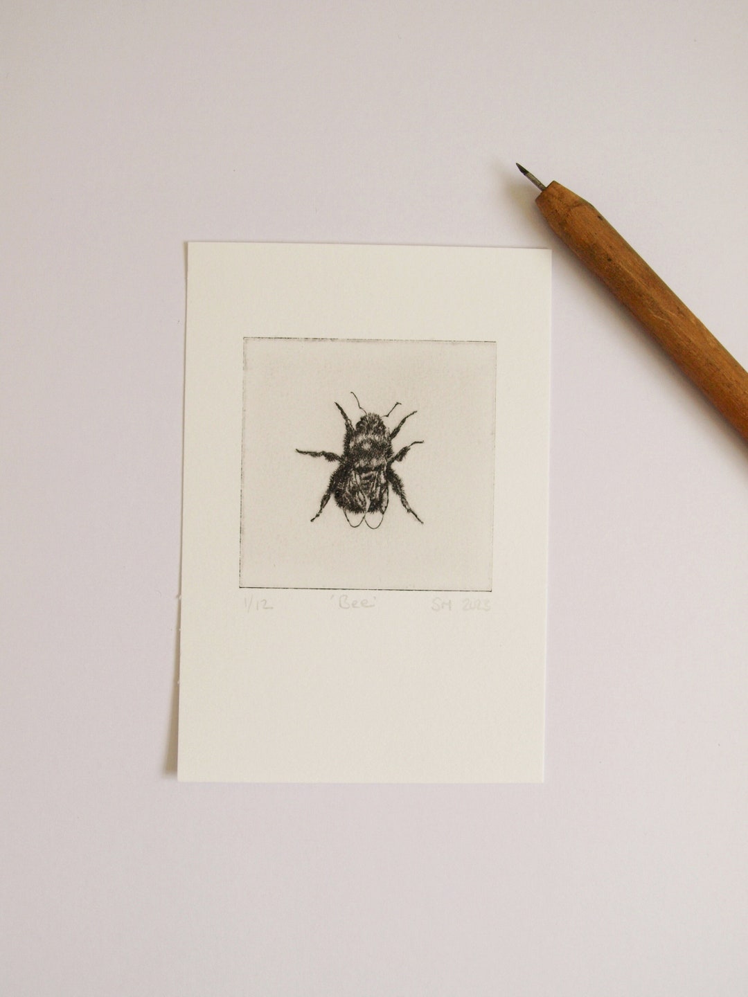 Drypoint Bee Engraving Original Art Intaglio Bee Print - Etsy