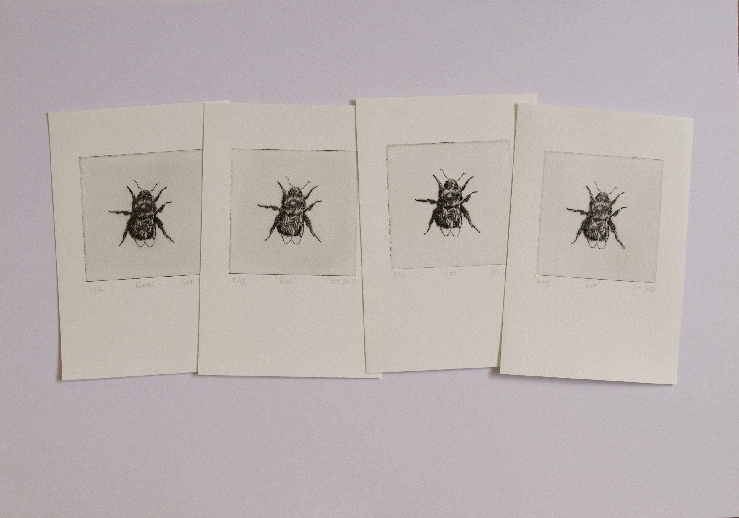 Drypoint Bee Engraving Original Art Intaglio Bee Print - Etsy