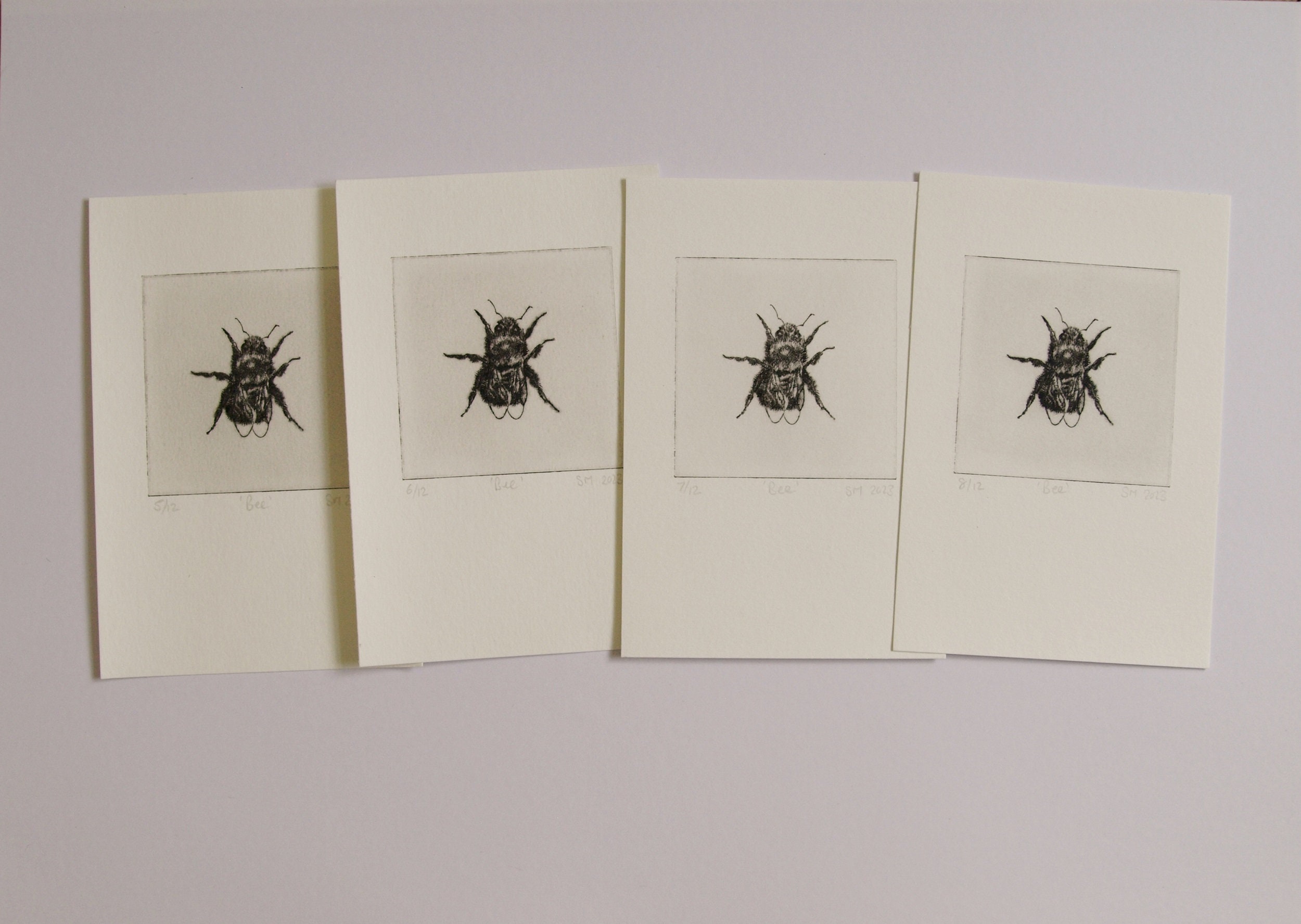 Drypoint Bee Engraving Original Art Intaglio Bee Print - Etsy