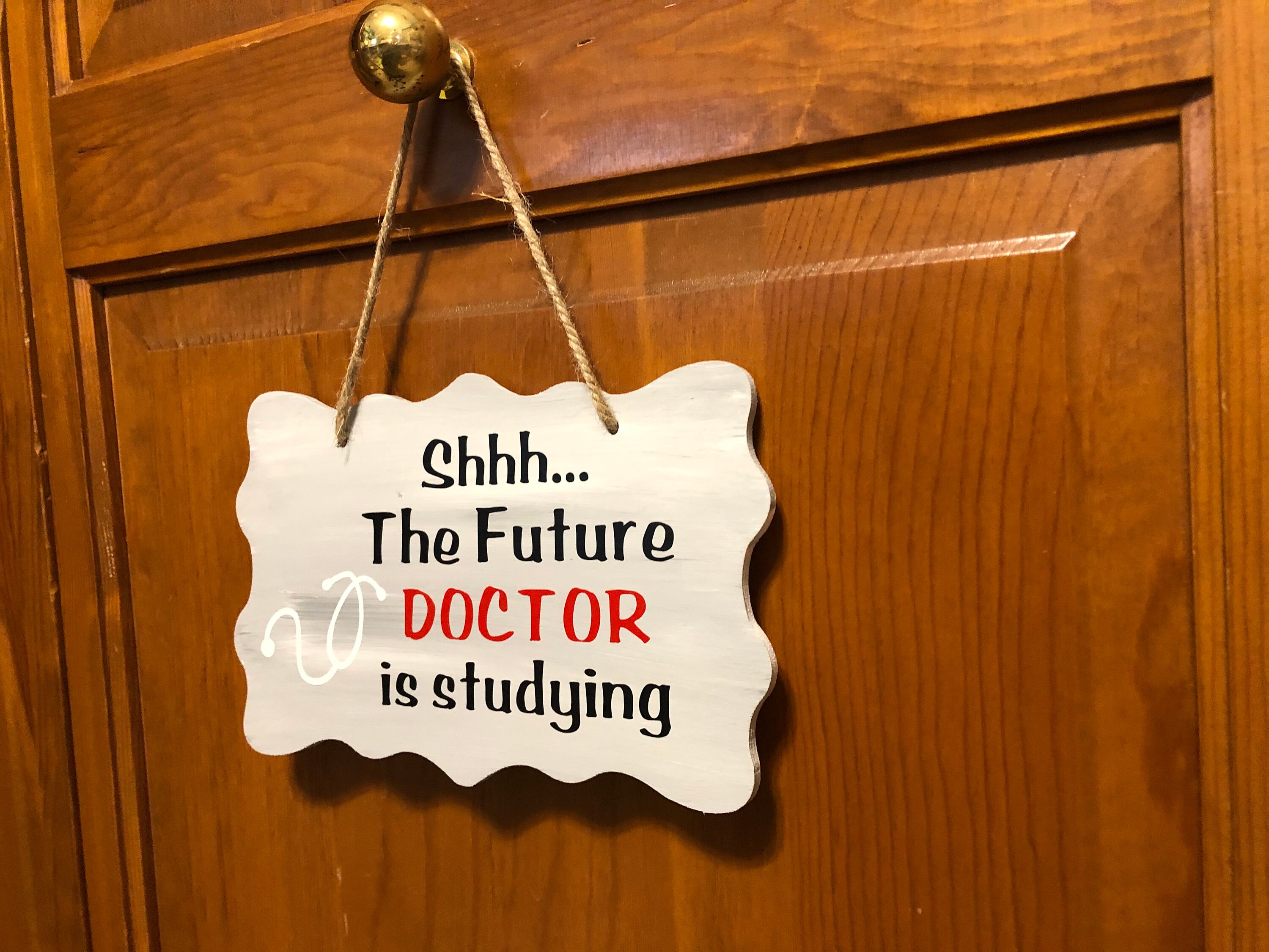 Shhh... Future Doctor is Studying. Wood Hand Painted Vinyl - Etsy
