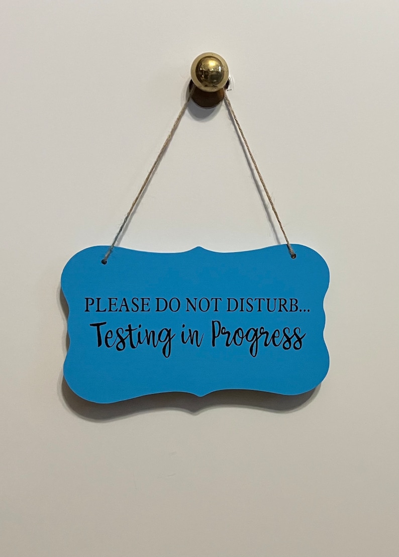 Please Do Not Disturb Testing in Progress. Wood Hand Painted - Etsy