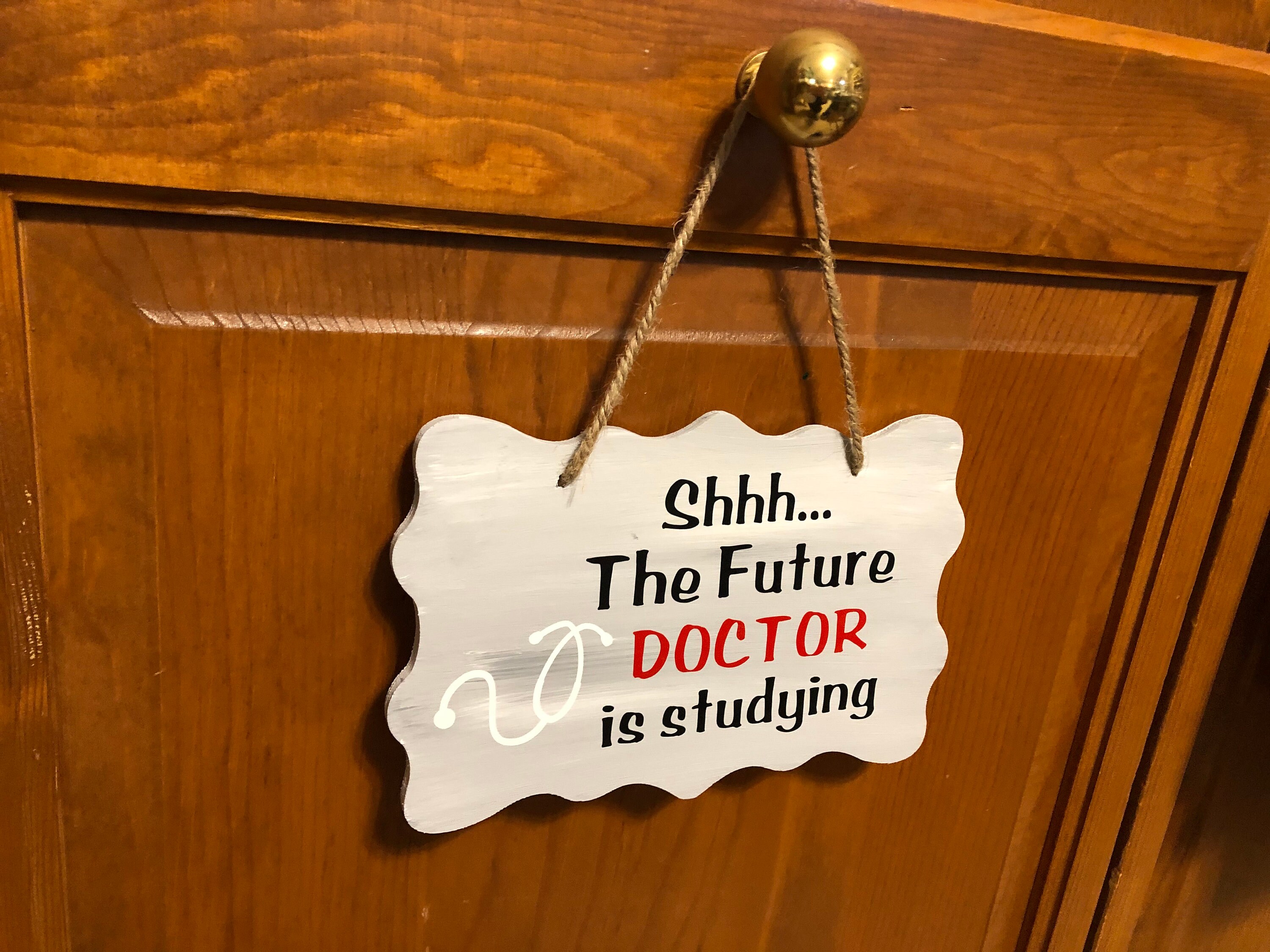 Shhh... Future Doctor is Studying. Wood Hand Painted Vinyl - Etsy