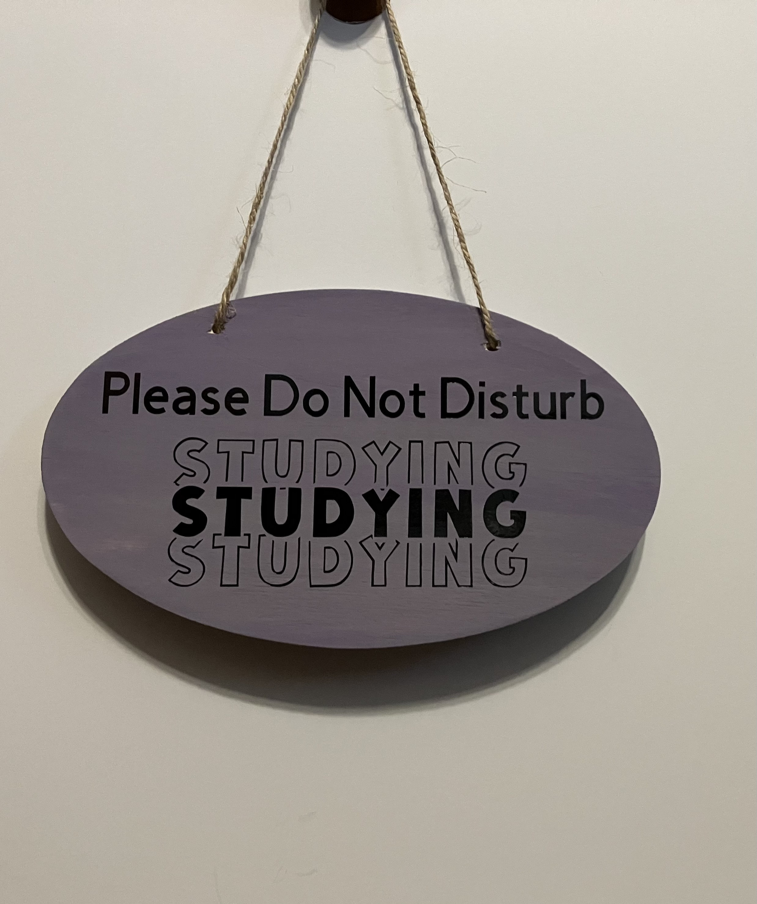 Do Not Disturb Studying In Progress