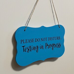 Please Do Not Disturb Testing in Progress. Wood Hand Painted - Etsy