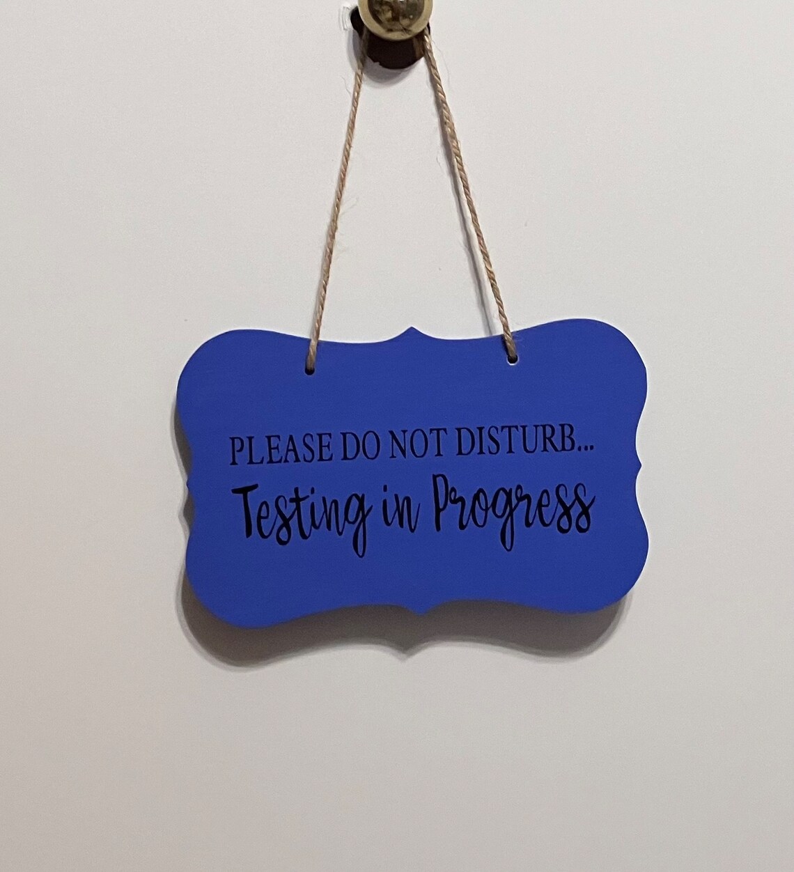 Please Do Not Disturb Testing in Progress. Wood, Hand Painted, Vinyl ...