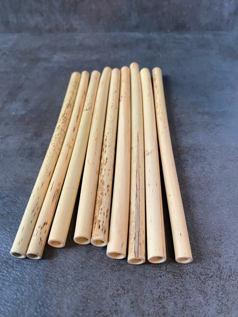 Set of 3 Zapotec Natural Reed Straws Oaxaca Popotes De - Etsy