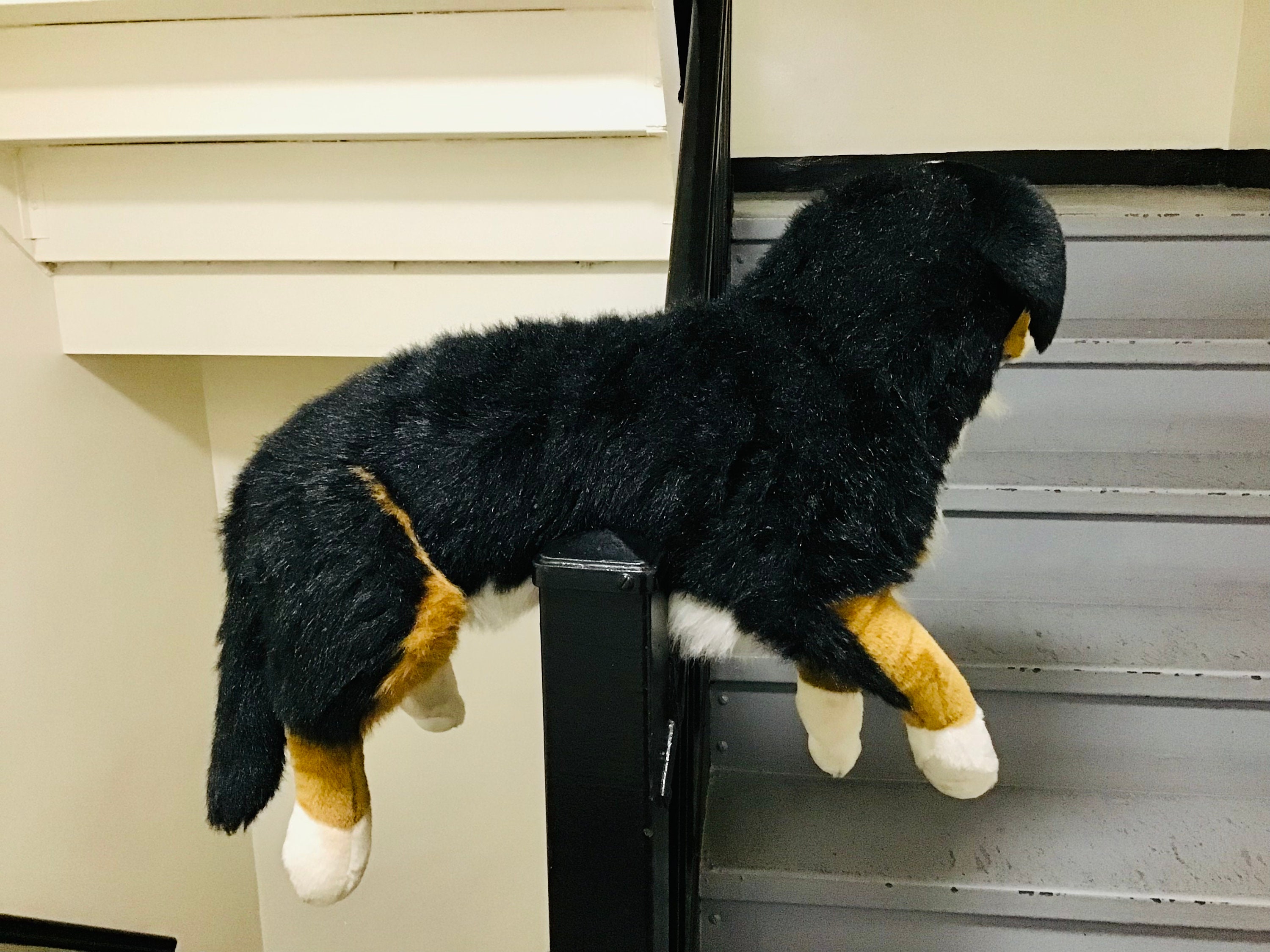 Vintage E&J Classic Prima Collection 40 Large Realistic Bernese Mountain Dog Stuffed Plush - Etsy