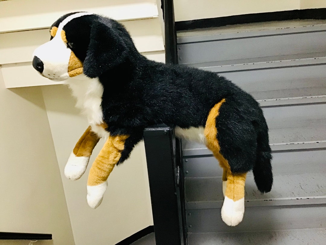 Vintage E&J Classic Prima Collection 40 Large Realistic Bernese ...