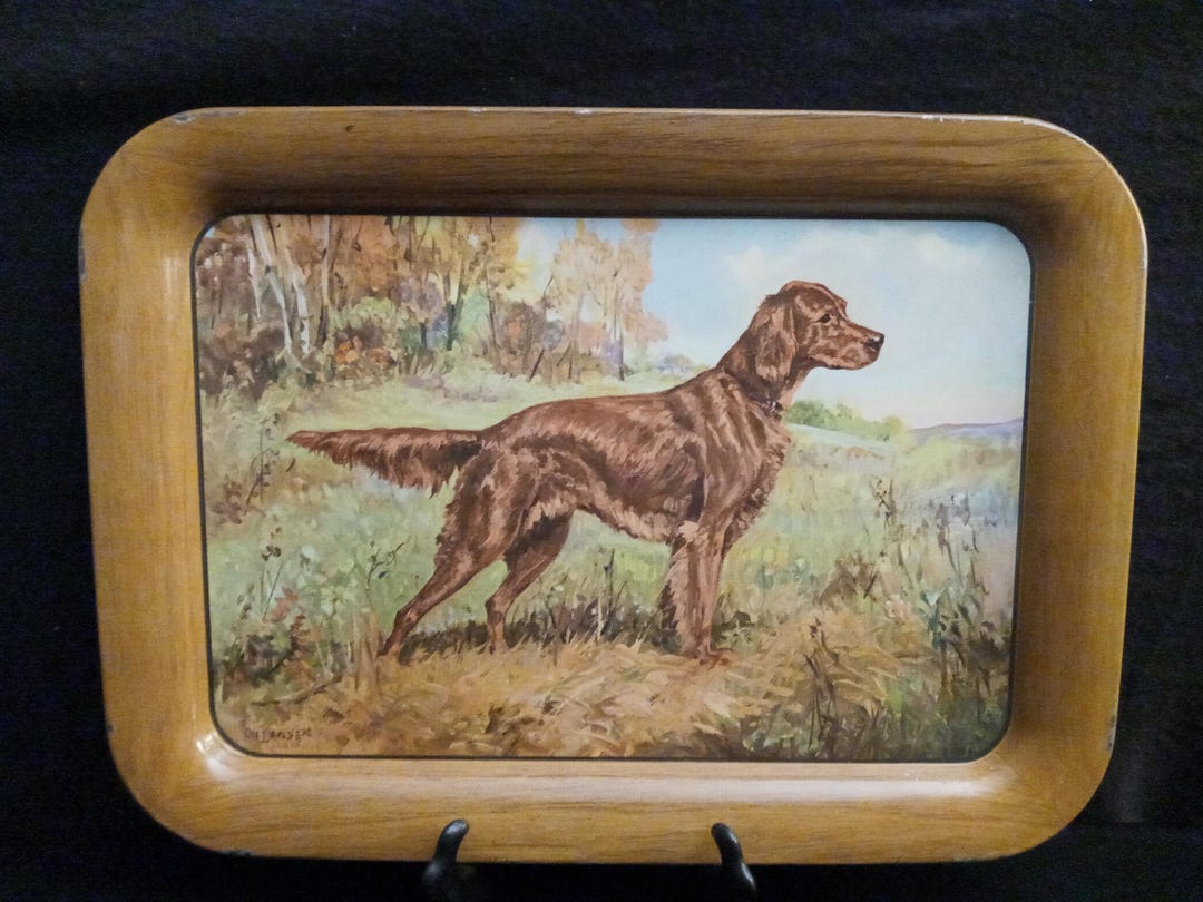 Ole Larsen English & Irish Setter Bird Dogs Metal Trays 2pc Lot - Etsy
