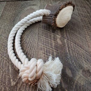 Elk Antler Dog Tug and Retrieval Rope Toy, Naturally Shed Antler From ...