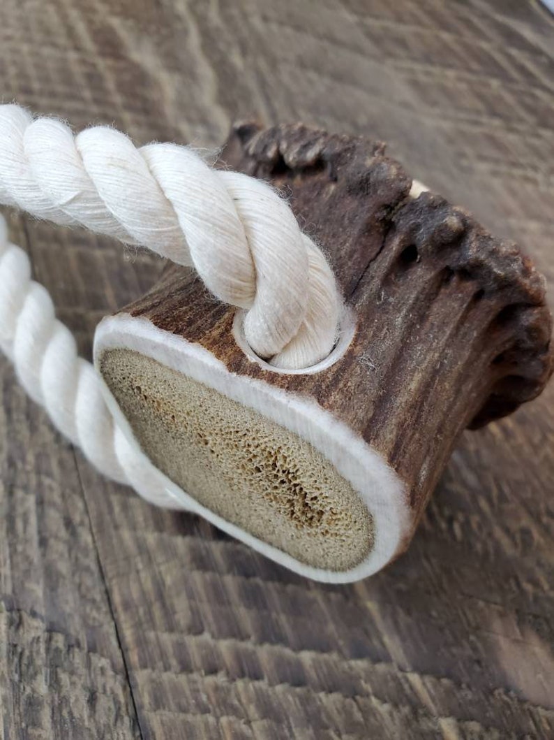 Elk Antler Dog Tug and Retrieval Rope Toy Naturally Shed - Etsy