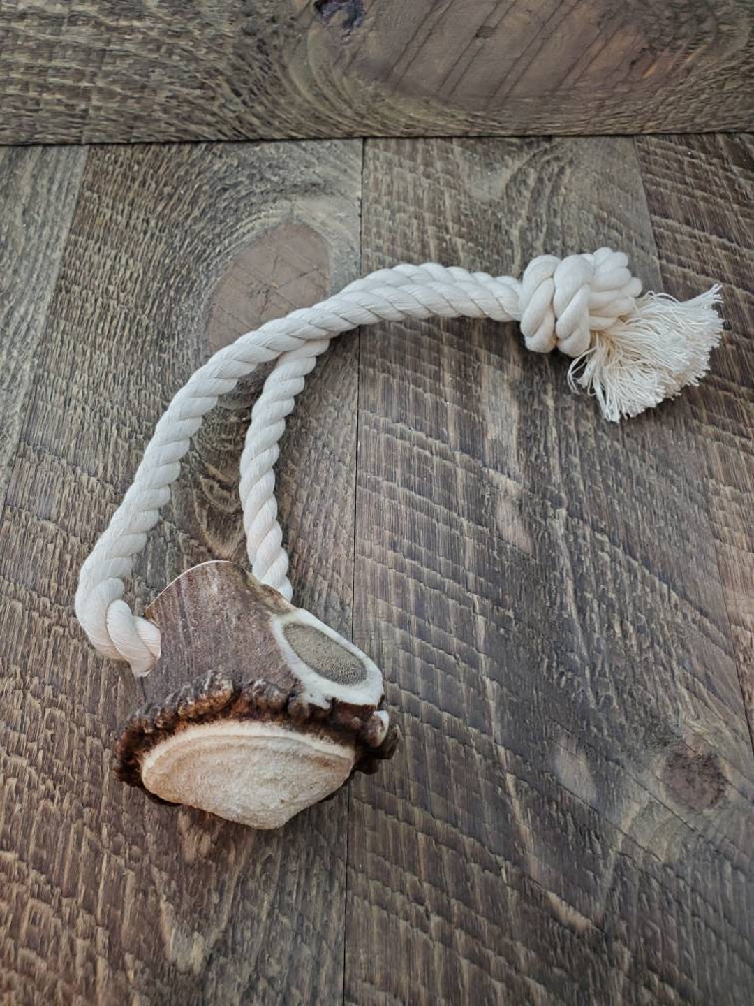 Elk Antler Dog Tug and Retrieval Rope Toy, Naturally Shed Antler From ...