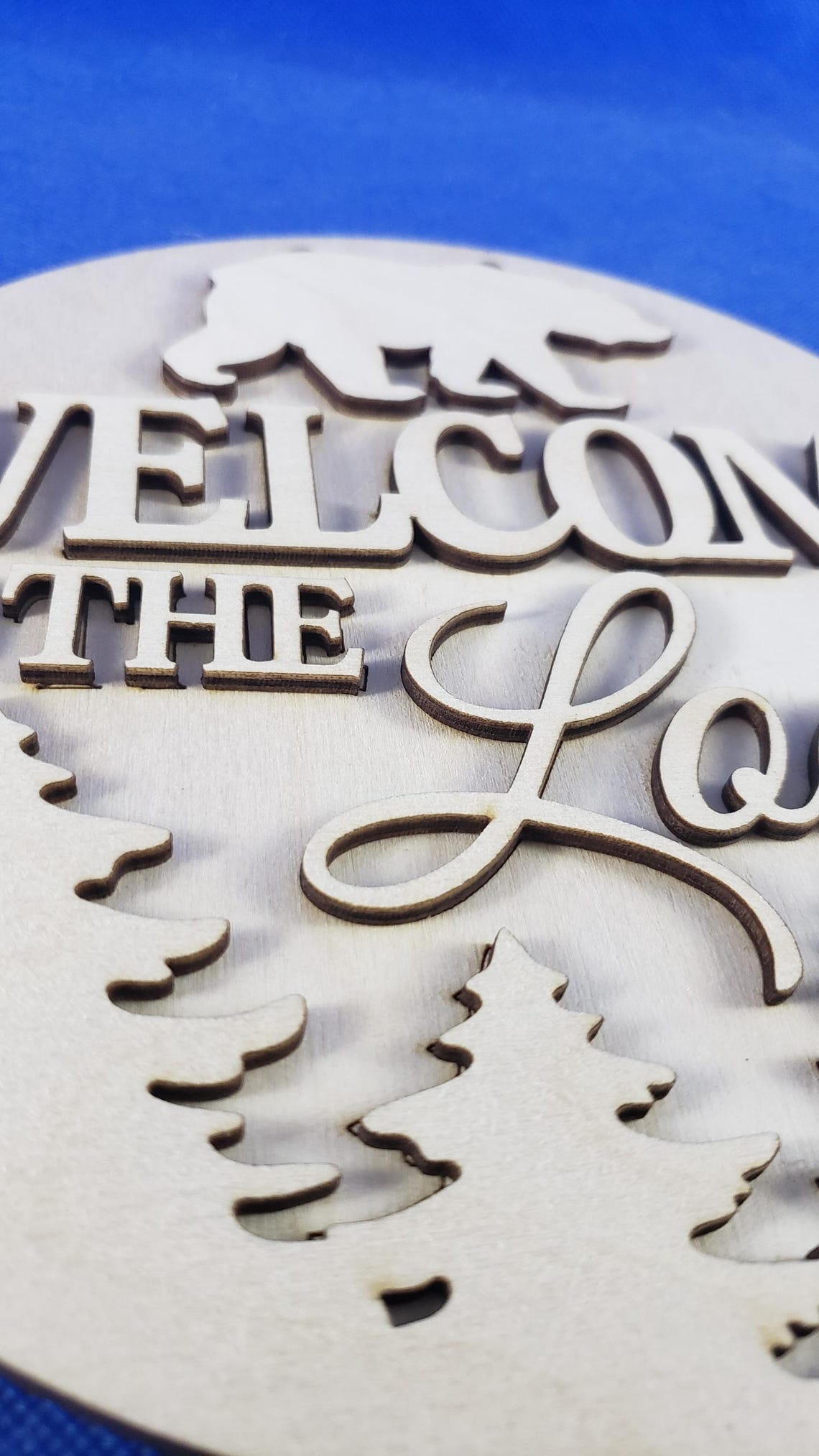 DIY Welcome Sign Kit: Unfinished Wood Door Hanger, Painting Craft - Etsy