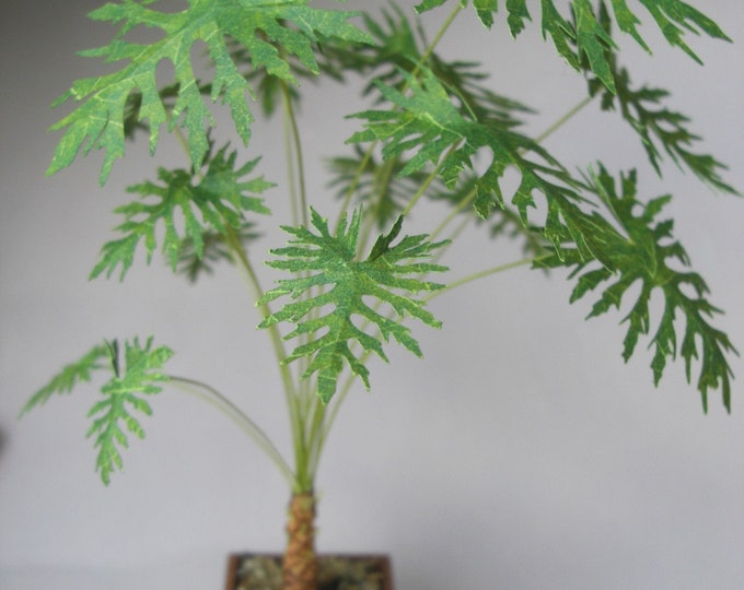Miniature Philodendron Split Leaf Palm Tree 1:12 Dollshouse Fairy Cat ...