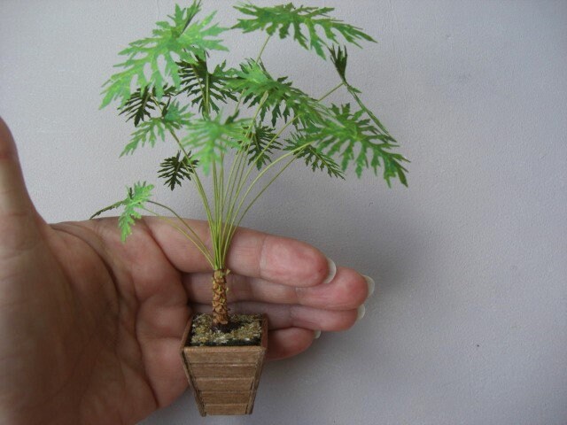 Miniature Philodendron Split Leaf Palm Tree 1:12 Dollshouse Fairy Cat ...