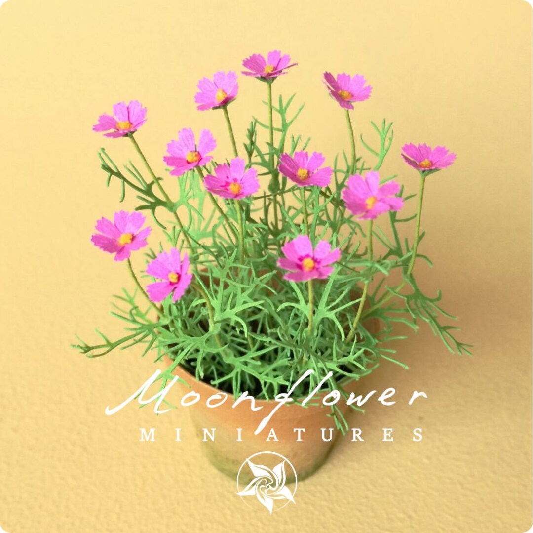 KIT Miniature Garden Dollhouse Flower Kit, Scale 1:12, Cosmos Pink DIY ...