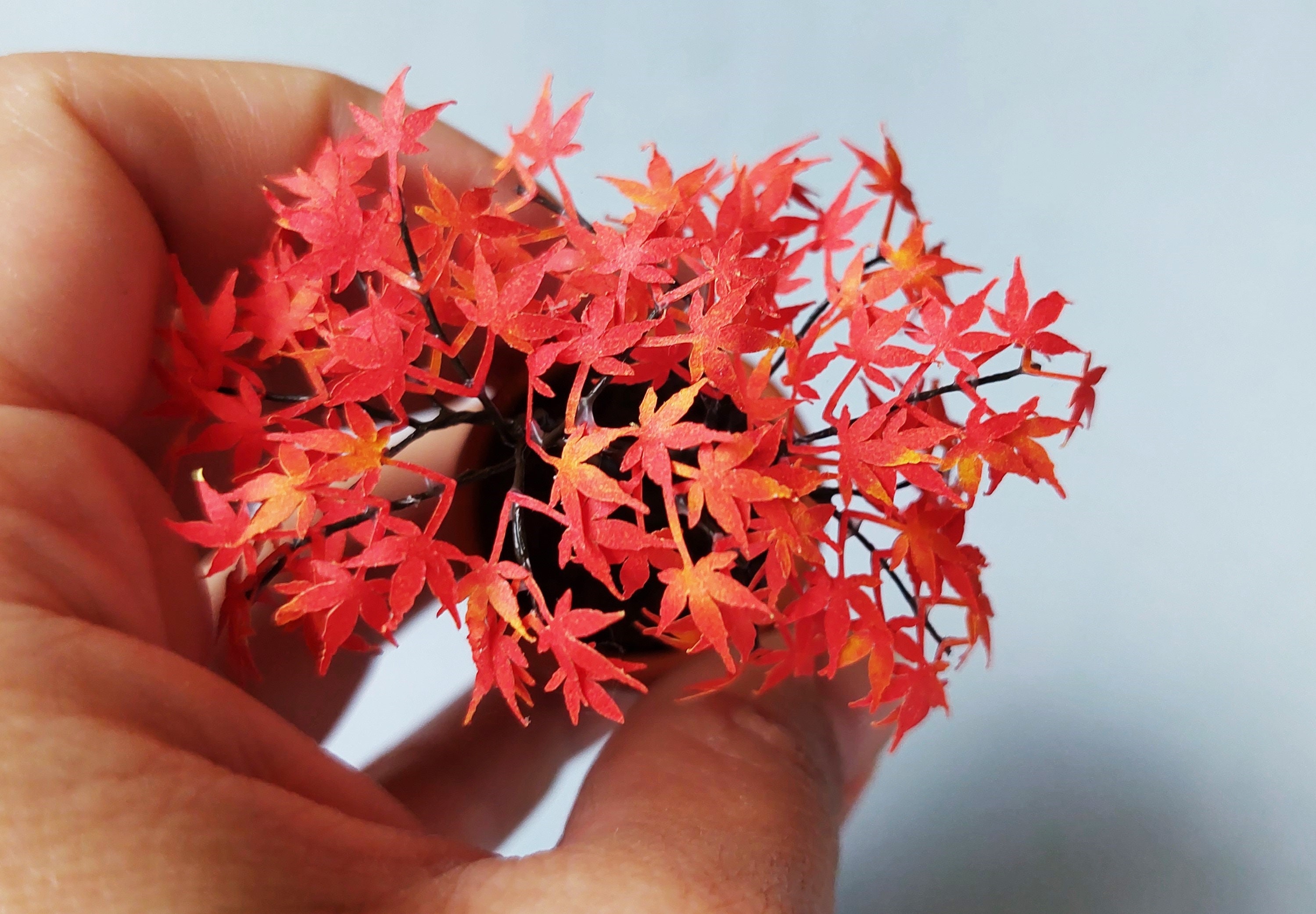 KIT Miniature #3 Maple Tree Bonsai Color Garden Dollhouse Flower Kit ...