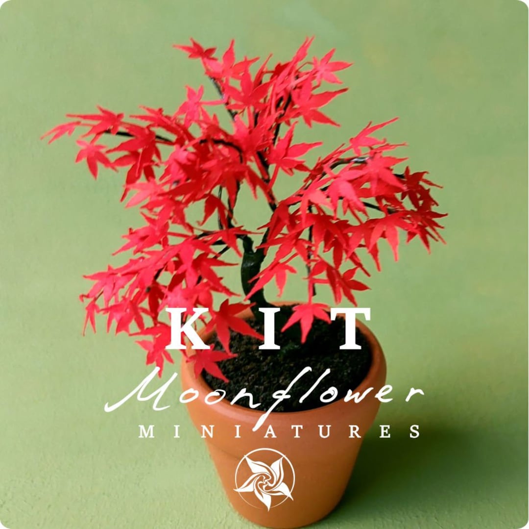 KIT Miniature #1 Maple Tree Bonsai Garden Dollhouse Flower Kit, Scale 1 ...