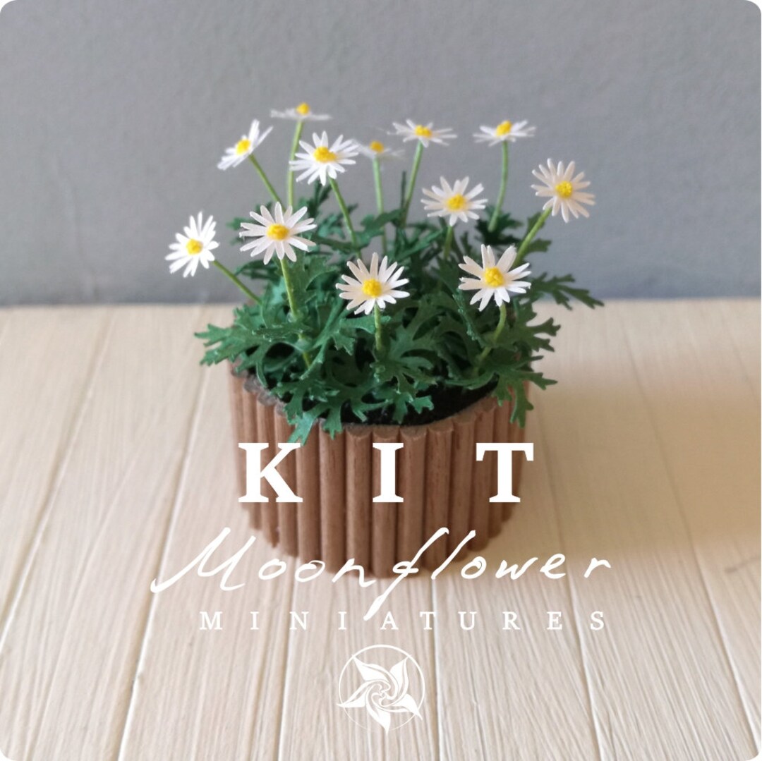 KIT Marguerite Daisy Flower, Miniature Garden Dollhouse Kit, Scale 1:12 ...