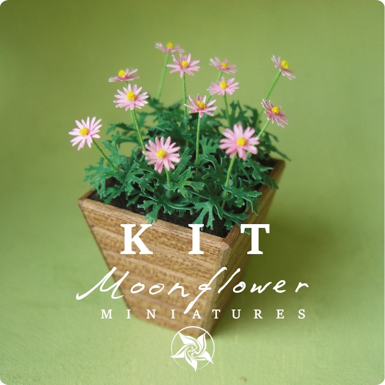 KIT Marguerite daisy flower Miniature garden dollhouse kit | Etsy