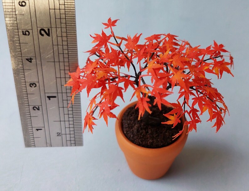 KIT Miniature #3 Maple Tree Bonsai Color Garden Dollhouse Flower Kit ...