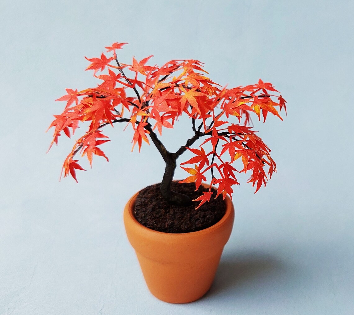 KIT Miniature #3 Maple Tree Bonsai Color Garden Dollhouse Flower Kit ...